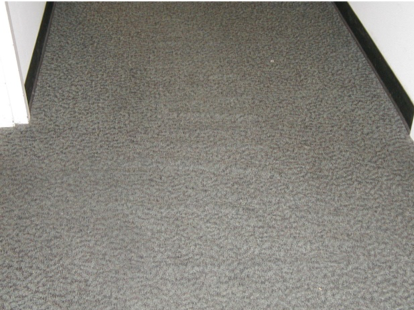 How to Choose a Commercial Carpet Backing System